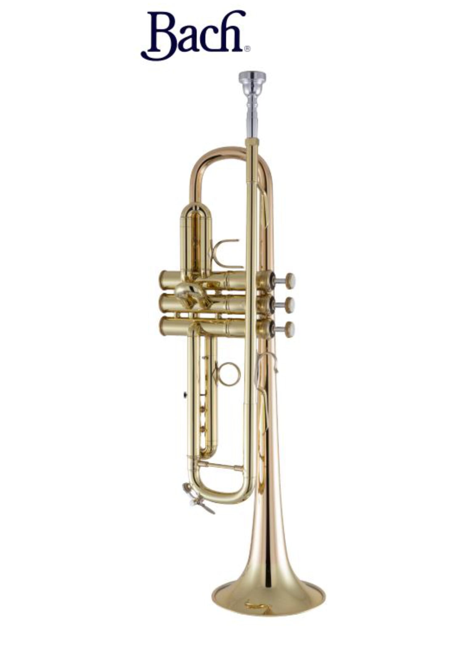 NEW Bach Apollo trumpet